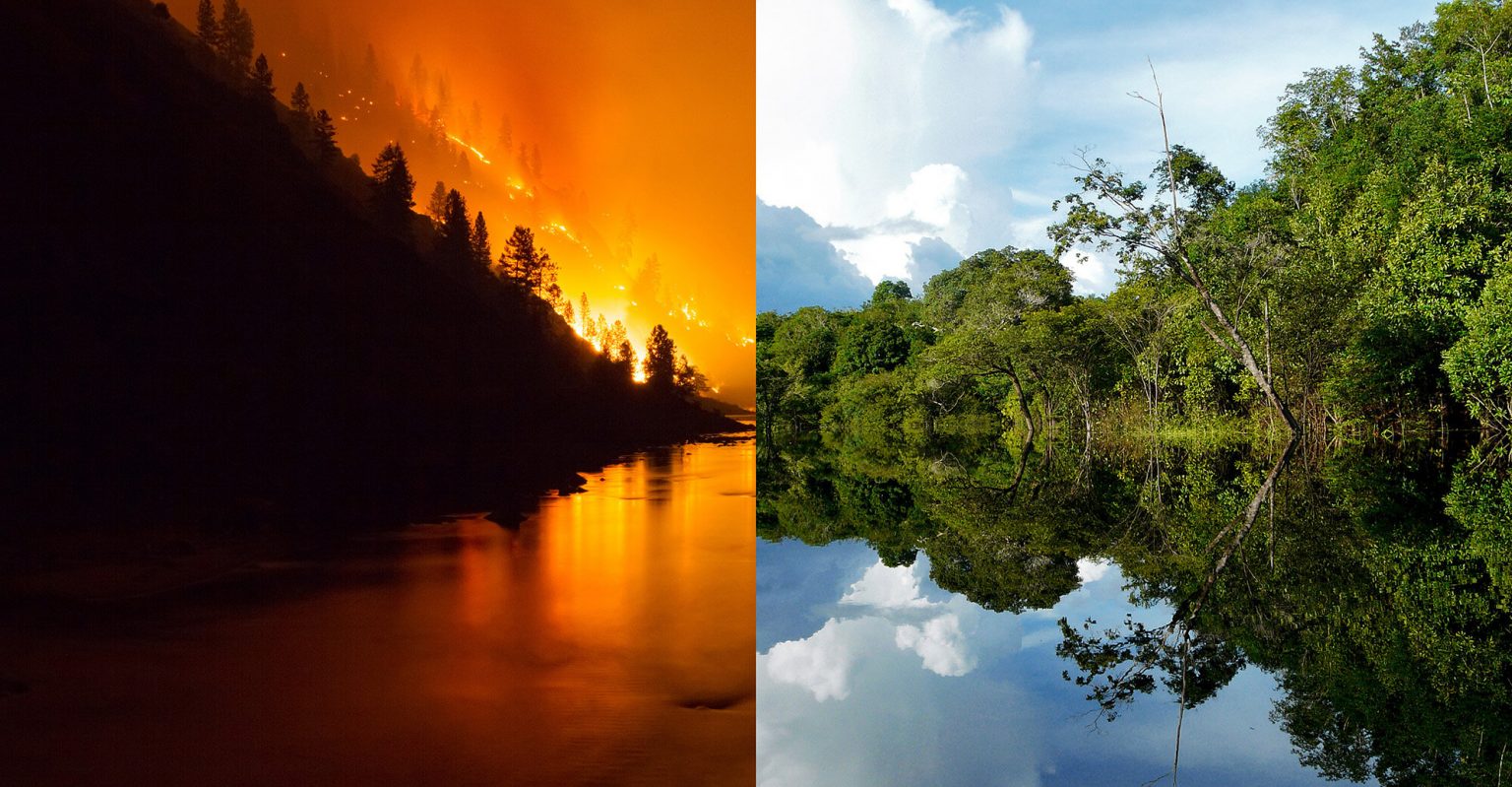 Ecocidio: así puede estar definido el delito contra el medioambiente ...