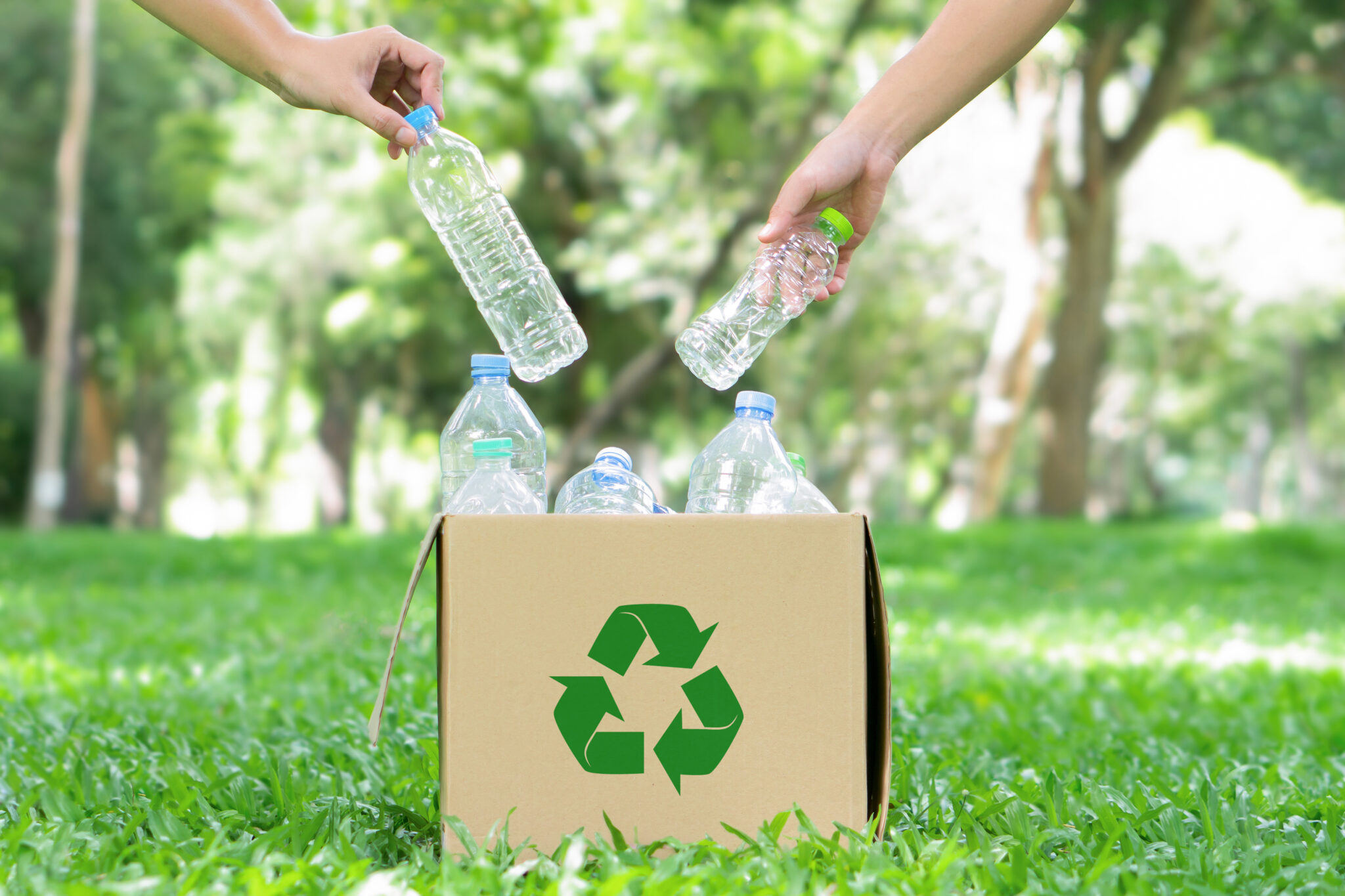 La gestión de envases: Una responsabilidad de todos - Negocios Sostenibles